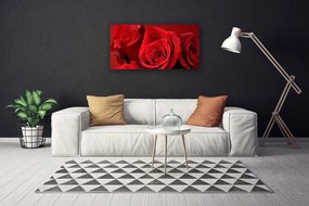 Obraz na plátně Růže Květiny 140x70 cm