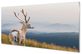 Obraz na skle jelen hory 100x50 cm