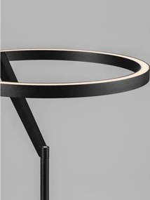 Matně černá hliníková LED stmívatelná stojací lampa (výška 168 cm) Tilia – Nova Luce