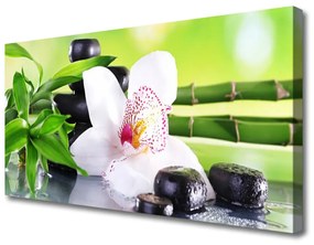 Obraz na plátně Orchidej Kameny Zen Bambus 120x60 cm