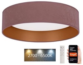 Brilagi - LED Stmívatelné svítidlo VELVET SMART LED/24W/230V Wi-Fi Tuya + DO