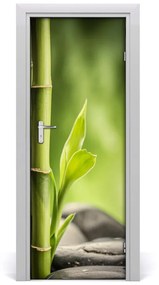 Fototapeta samolepící bambus 95x205 cm