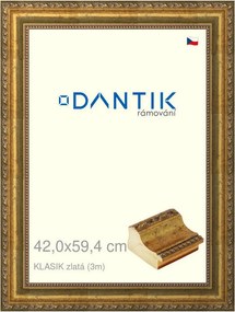 DANTIK rámeček 42x59,4 | KLASIK zlatá (Plexi Čiré)
