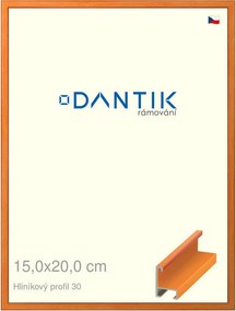 DANTIK rámeček 15x20 | ALU profil 6030 Dýha barevná oranžová (Sklo Čiré)