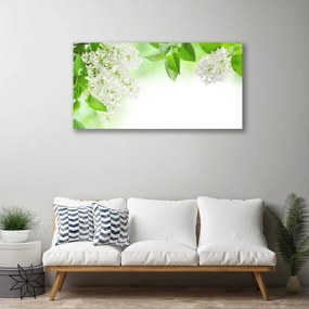 Obraz na plátně Plátky Rostlina Příroda 125x50 cm