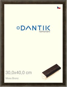 DANTIK rámeček 30x40 | Mosa bronz (Plexi Čiré)
