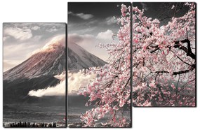 Obraz na plátně - Hora Fuji a třešňové květiny na jaře 1266QD (90x60 cm)