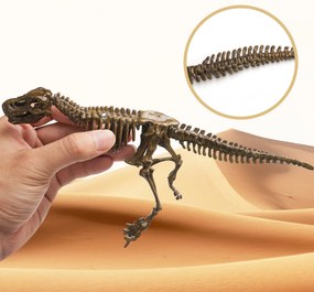 Aga4Kids Sada pro malé paleontology T-Rex