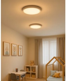 LED Stropní svítidlo LED/24W/230V 3000/4000/6500K pr. 30 cm bílá