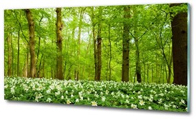 Wallmuralia Foto obraz skleněný horizontální Květiny v lese 100x50