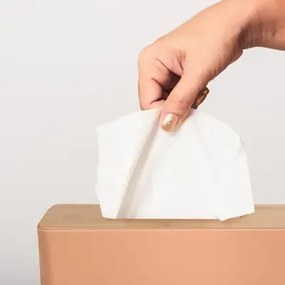 MSV box na kapesníky KAMLA broskvový / Plast / Bambus