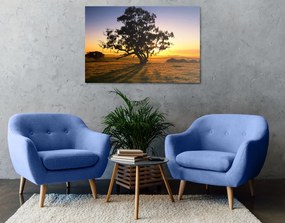 Obraz osamělý strom při západu slunce - 90x60 cm