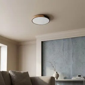 Solight LED osvětlení s dálkovým ovladačem Polia dub, černá / 46W / 32
