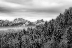Fototapeta černobílé zmrzlé hory - 300x270