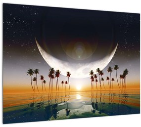 Obraz - Měsíc nad palmami (70x50 cm)