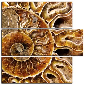 Obraz na plátně - Textura fosílie - čtverec 3174D (105x105 cm)
