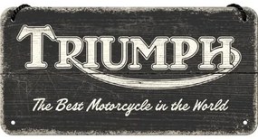 Postershop Závesná cedule: Triumph (The Best Motorcycle in the World) - 20x10 cm