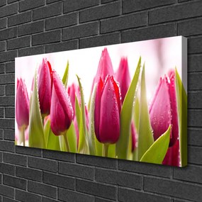 Obraz na plátně Tulipány Květiny Rostlina 100x50 cm