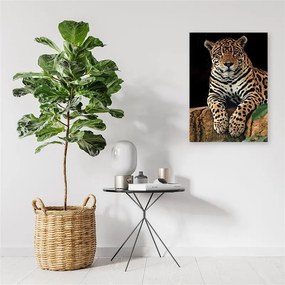 Gario Obraz na plátně Leopard v klidu Rozměry: 40 x 60 cm