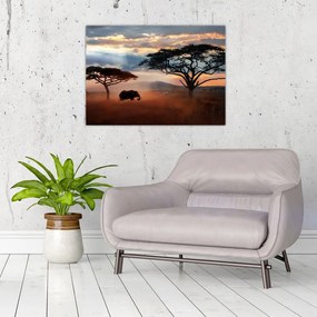 Skleněný obraz - Národní park Serengeti, Tanzánie, Afrika (70x50 cm)