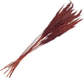 Vínová kytice sušené květy bambusu Bamboo - 100 cm (10ks)
