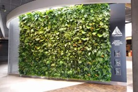 Vertical garden Exotic Vibe
