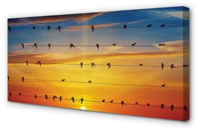 Obrazy na plátně Ptáci na lanech západu slunce 140x70 cm