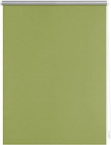 Lichtblick Termo roleta Klemmfix, bez vrtání, od 45 x 150 cm. (zelená, 90 x 150 cm)