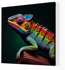 Obraz na plátně - Barevná ještěrka FeelHappy.cz Velikost obrazu: 80 x 80 cm