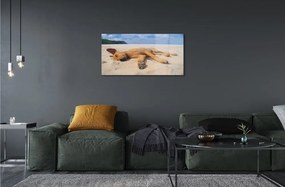 Obraz na skle Ležící pes pláž 100x50 cm