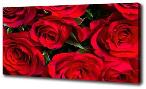 Wallmuralia Foto obraz na plátně Červené růže 100x50