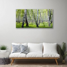 akrylový obraz Les Příroda 100x50 cm