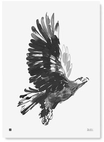 Plakát Eagle 50x70