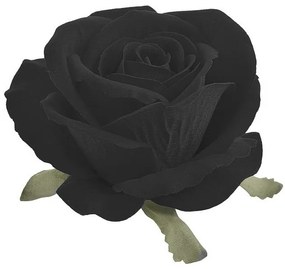 růže velvet - hlavičky (6 ks) - černá