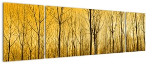 Obraz lesa při západu slunce (170x50 cm)