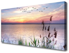 Obraz na plátně Moře Ptáci Nebe Krajina 125x50 cm