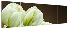 Obraz tulipánů  (170x50 cm)