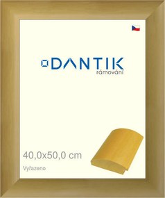 DANTIK rámeček 40x50 | Vyřazeno | RENÉ přírodní (Sklo Čiré)