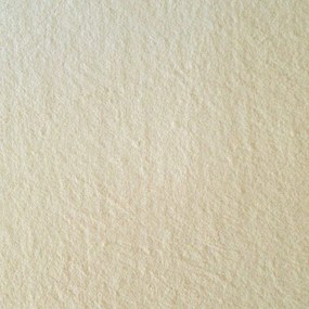 Polášek EXKLUSIVE MICRO Mikroplyšové prostěradlo Smetanové Polyester, 90/200 cm