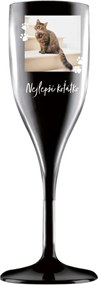 Personalizovaná nerozbitná prosecco sklenice - fotografie s mazlíčkem