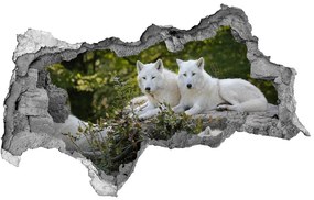 Wallmuralia Fototapeta díra na zeď Bílí vlci skála 95x73 cm