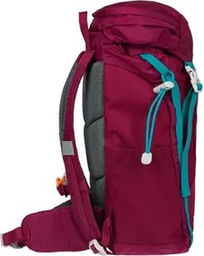BAAGL Batoh Tracker Roj / 14 l / vhodný od 3. třídy