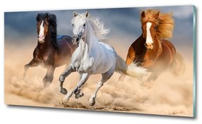 Wallmuralia Foto obraz fotografie na skle Koně na poušti 100x50