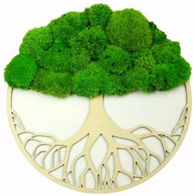 OznTo Obraz strom s mechem 1m zelený Barva: Bílá