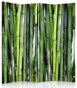 Ozdobný paraván, Bambus - 145x170 cm, čtyřdílný, klasický paraván