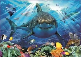 EDUCA Puzzle Bílý žralok / 500 dílků / od 10 let