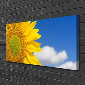 Obraz na plátně Slunečnice Mraky 100x50 cm
