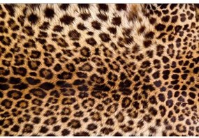 DIMEX | Samolepicí vliesová fototapeta na zeď Leopardí kůže MA-5-0184 | 375 x 250 cm | černá, hnědá