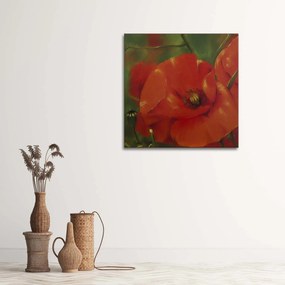 Gario Obraz na plátně Červené máky na louce Rozměry: 30 x 30 cm