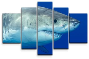 Sablio Obraz - 5-dílný Žralok - 125x90 cm